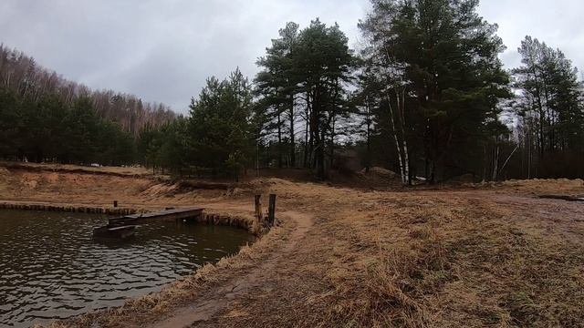 Экотуризм. Беговая экскурсия «Экотропа «Вашина гора», Псковская область.
