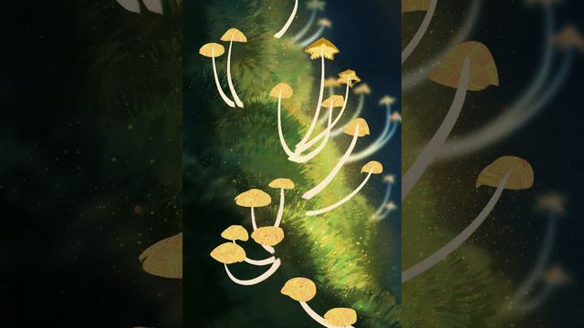 Звезды Эноки 🌟⭐🌟