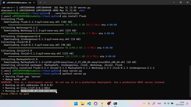 Создание диалога с Алисой. Занятие 1. Web-программирование на Python