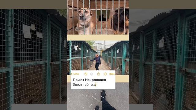 здесь тебя ждут