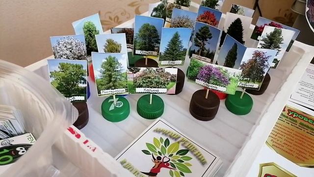 Экополия - играть здОрово здорОво!