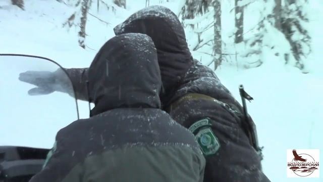 Видеоотчет за январь 2019 года