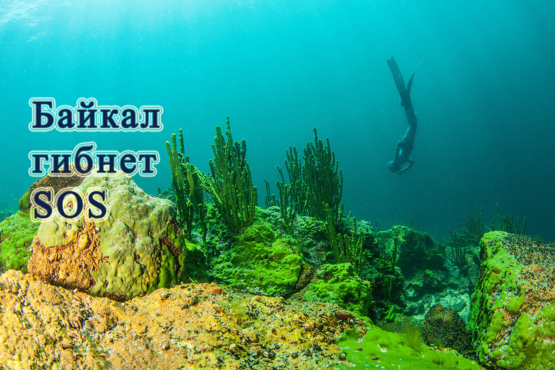 Байкал гибнет, SOS...