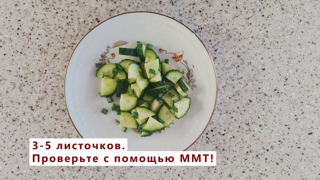 Листочки чеснока