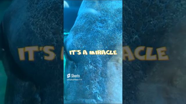 Взгляд из глубины!A view from the depths #dontbescaredbeprepared #nature #climbing