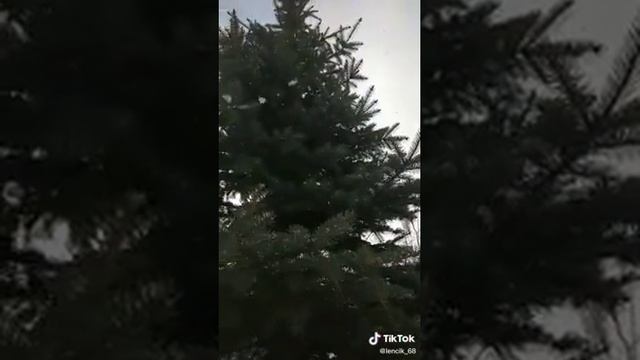 Старцы святые с давних времён... Дивеево