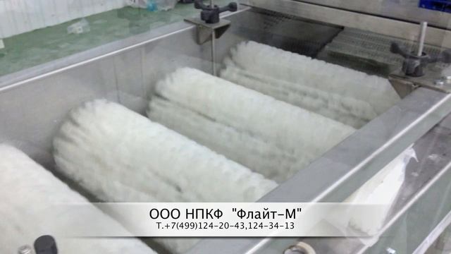 Линии мойки и инспекции овощей, фруктов и ягод