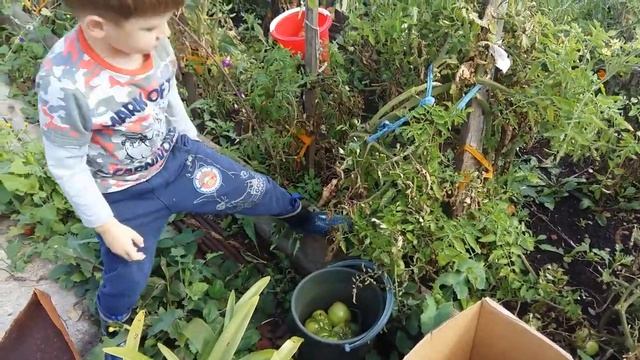 Дела деревенские.Приезжали дети.