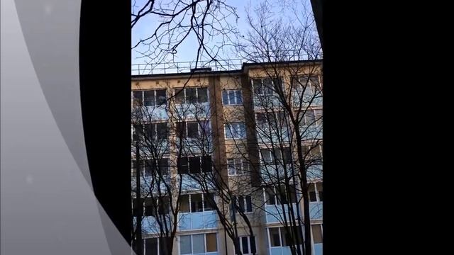 _Улицы с говорящими именами_. Д_о _Моя малая родина_ ДДЮТ Волховского района. СОШ № 8 2Б.mp4