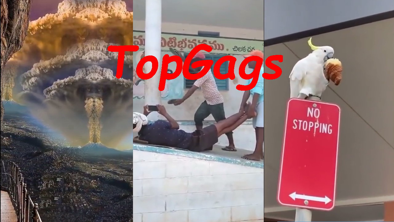 Перебежала, Попугай Проголодался, Красота Природы, Оператор От Бога и Другие Смешные Видео Приколы