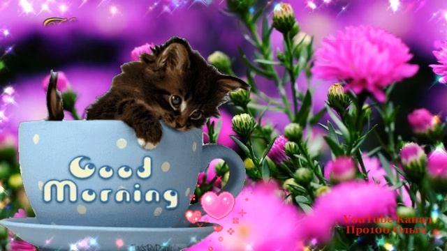 С Добрым Утром! Хорошего Дня! Красивая Музыкальная Открытка Доброе Утро! Утренний Позитив!