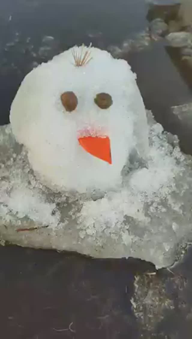 Мы не забудем его...