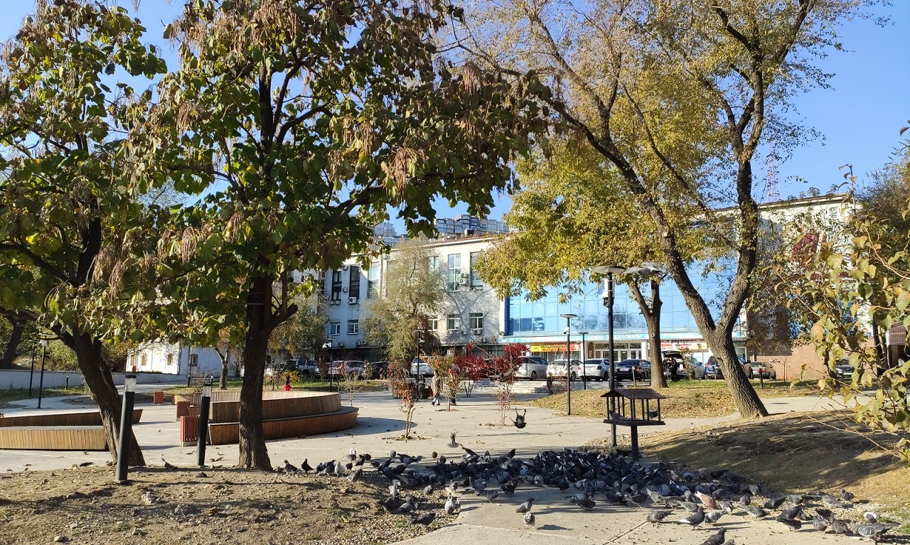 Авангард , сквер.  Владивосток