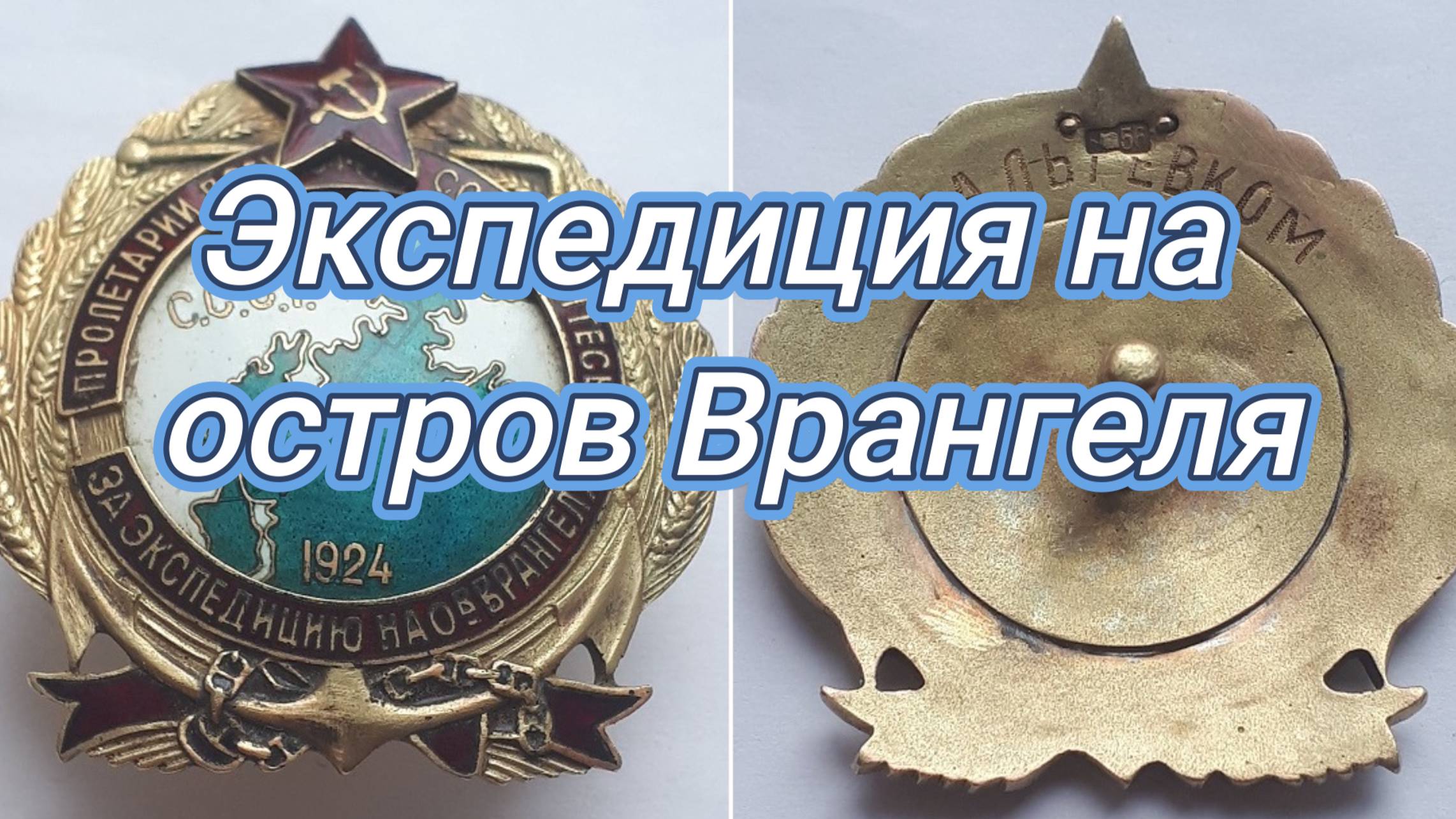Знак Экспедиция на остров Врангеля. Копия.