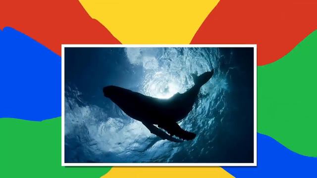 Почему Почтальоны UPS Не Закрывают Двери   Парад Фактов. Часть 1