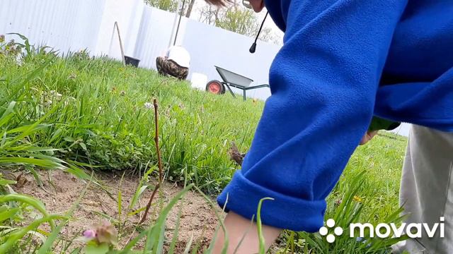 Поликлиника. Еще два столбика. День космонавтики..mp4