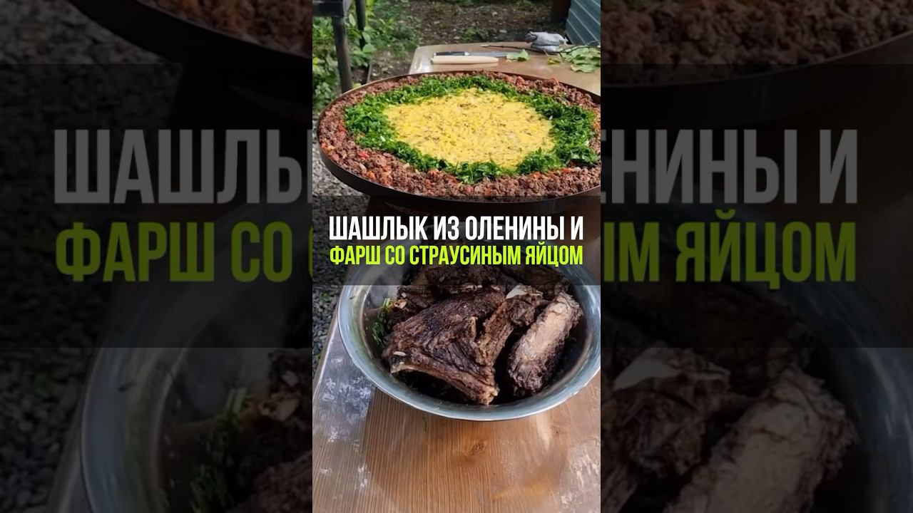 Ужин для всей семьи! Шашлык и фарш со страусиным яйцом #готовка #готовканаприроде #оленина #фарш