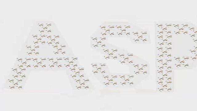 нашествие проклЯтого аниме.mp4