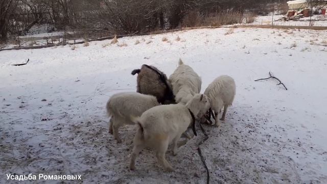 2021г. Обзор хозяйства,ноябрь.