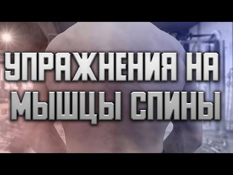 5 УПРАЖНЕНИЙ НА УСИЛЕНИЕ МЫШЦ СПИНЫ