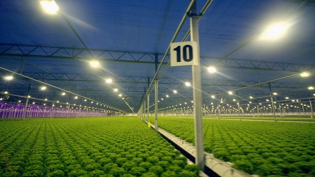 Европа с высоты птичьего полёта 1 сезон 1 серия «Нидерланды» (документальный сериал, 2019)