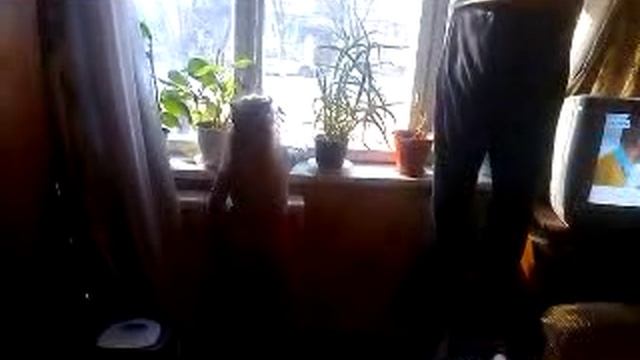 установка ролетов 25.02.2017