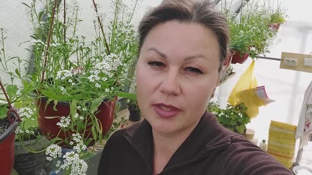 Обзор теплиц на 7 мая 2022г.