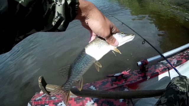 #рыбалка на спиннинг на оби