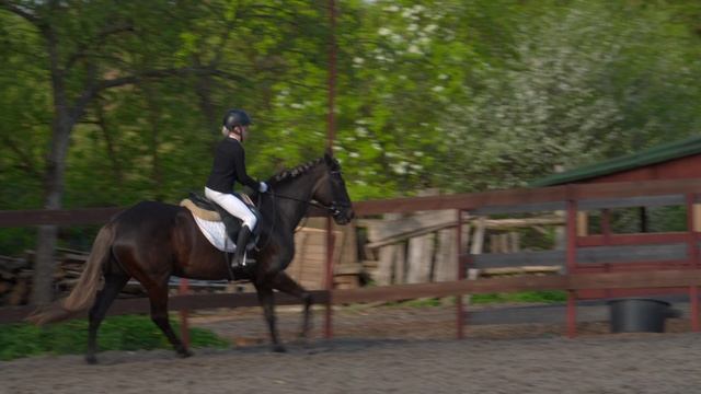 Соревнования в КЦ Лосиный остров выездка