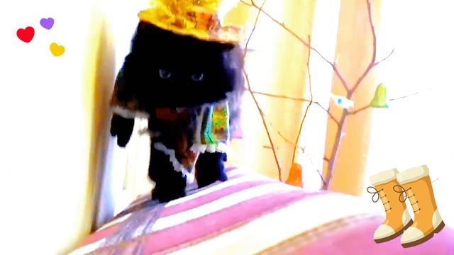 Когда Кот Джей  решил стать Котом в сапогах