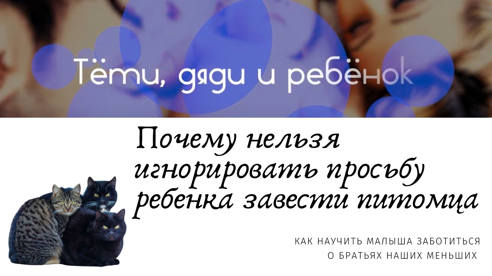 Стоит ли заводить домашнее животное по просьбе ребенка?