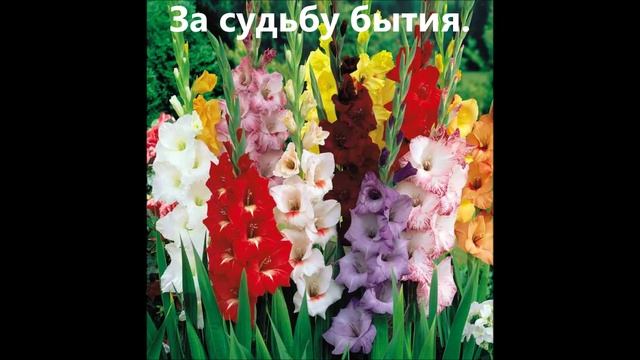 Стихи о жизни. Мама, где ты теперь....