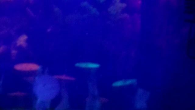 Пуйян 19-07-2018 (34)
