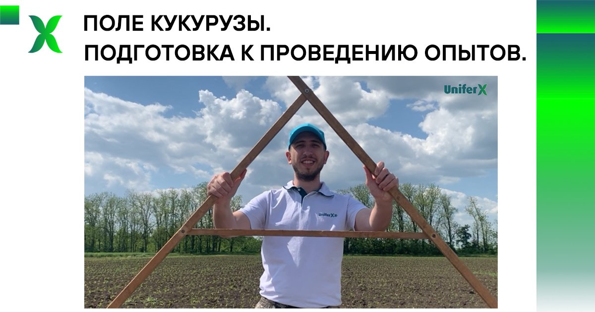 Поле кукурузы.Подготовка к опытам