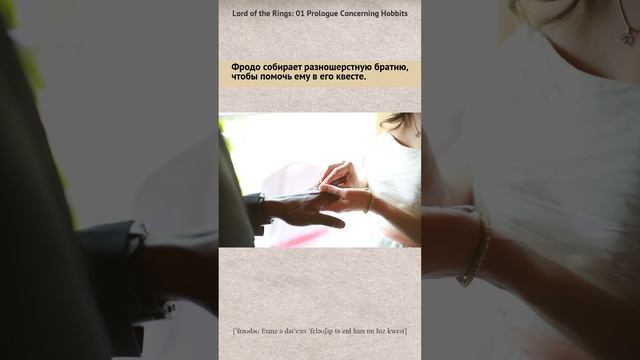 Frodo_forms_a_diverse_fellowship_to_aid_him_on_his_quest_RU-EN