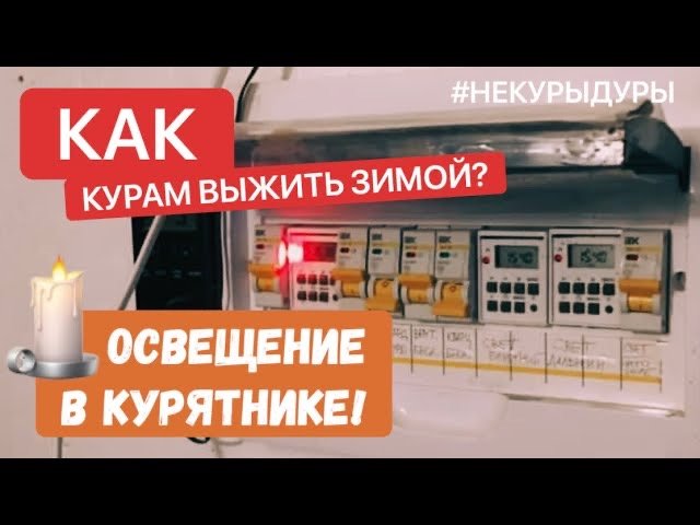 Освещение в курятнике. Как сохранить хорошую яйценоскость зимой.