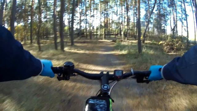 Велопокатушка №7. [4K] Под солнцем октября.