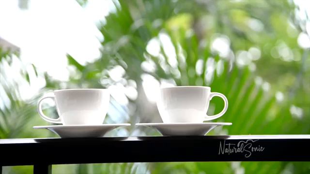 музыка - кофе и босса нова