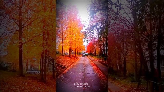 доброе осеннее утро!
