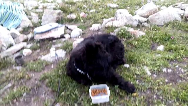 Архыз — 2022. Август. 1