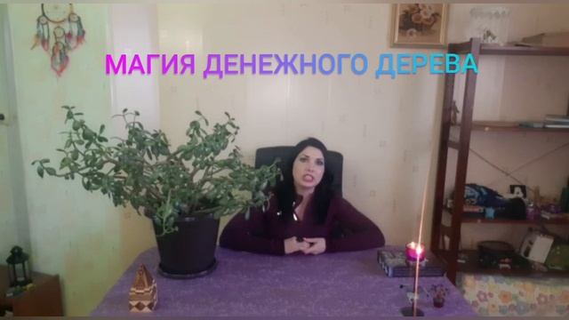 МАГИЯ ДЕНЕЖНОГО ДЕРЕВА