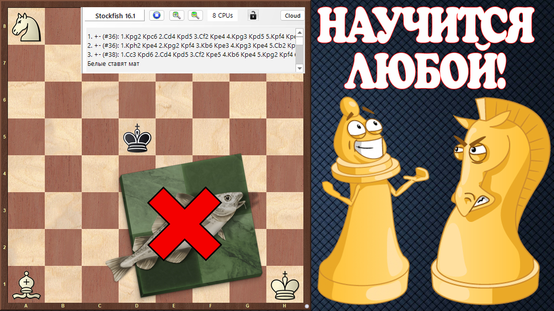 МАТ КОНЕМ И СЛОНОМ НА ПРАКТИКЕ ПРОТИВ СТОКФИША ВСЕХ УРОВНЕЙ. САМОЕ ПОДРОБНОЕ ОБЪЯСНЕНИЕ МЕТОДА
