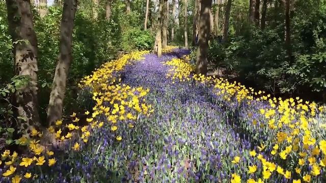 3 Часа музыки. Внутренний покой, расслабляющая, успокаивающая музыка