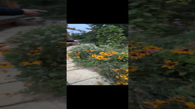 19 участок. Система полива. (подземные коммуникации)