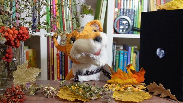 Выпуск №7 «Почему листья желтеют?»