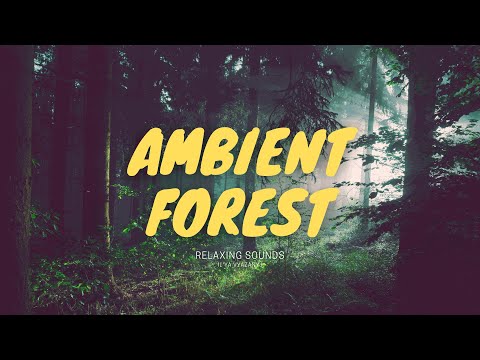 Relaxing Sounds - Окружающий лес