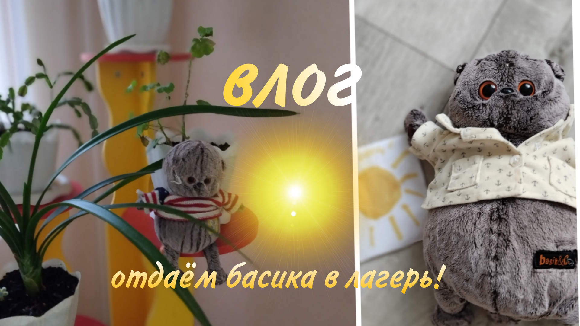Одаём басика в лагерь! ☀ обзор посылок?
