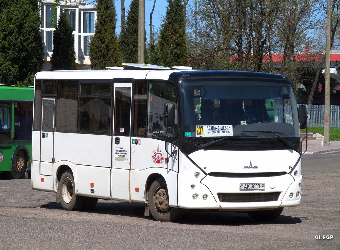 Автобус Лиозно МАЗ 241.000 АК 3663-2 Маршрут 237 АС Лиозно - АВ Витебск (АС Лиозно - Ул.А.Ерёменко)