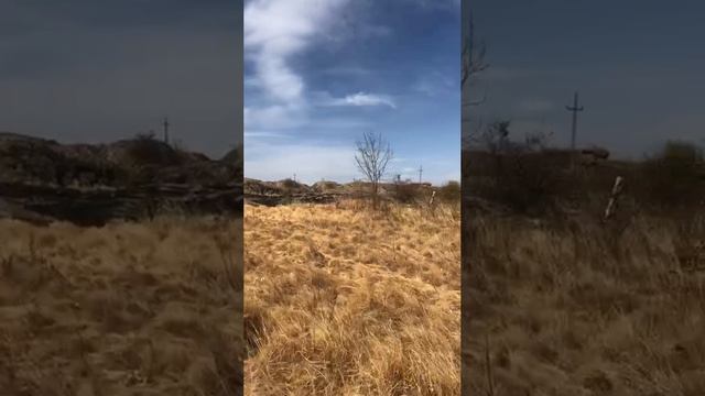 Заповедник Каменные Могилы. Граница Донецкой и Запорожской области