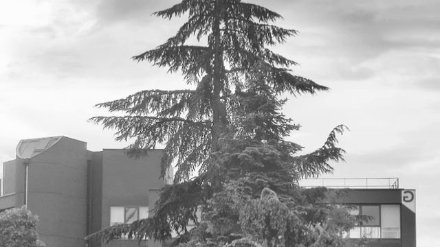 y a des Personnes qui vapote à FOND ❗SA mARCHE A FoND. LE GARS 😅❗